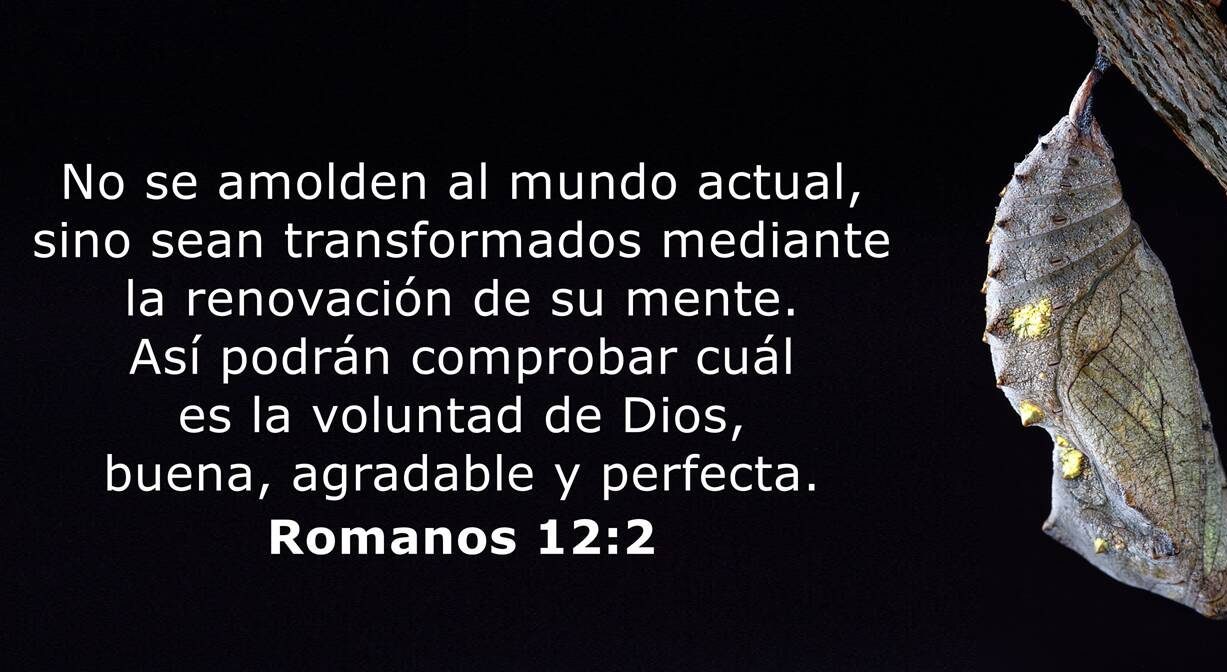 Fundamentos y Valores – Fundación de Solidaridad Romanos XII